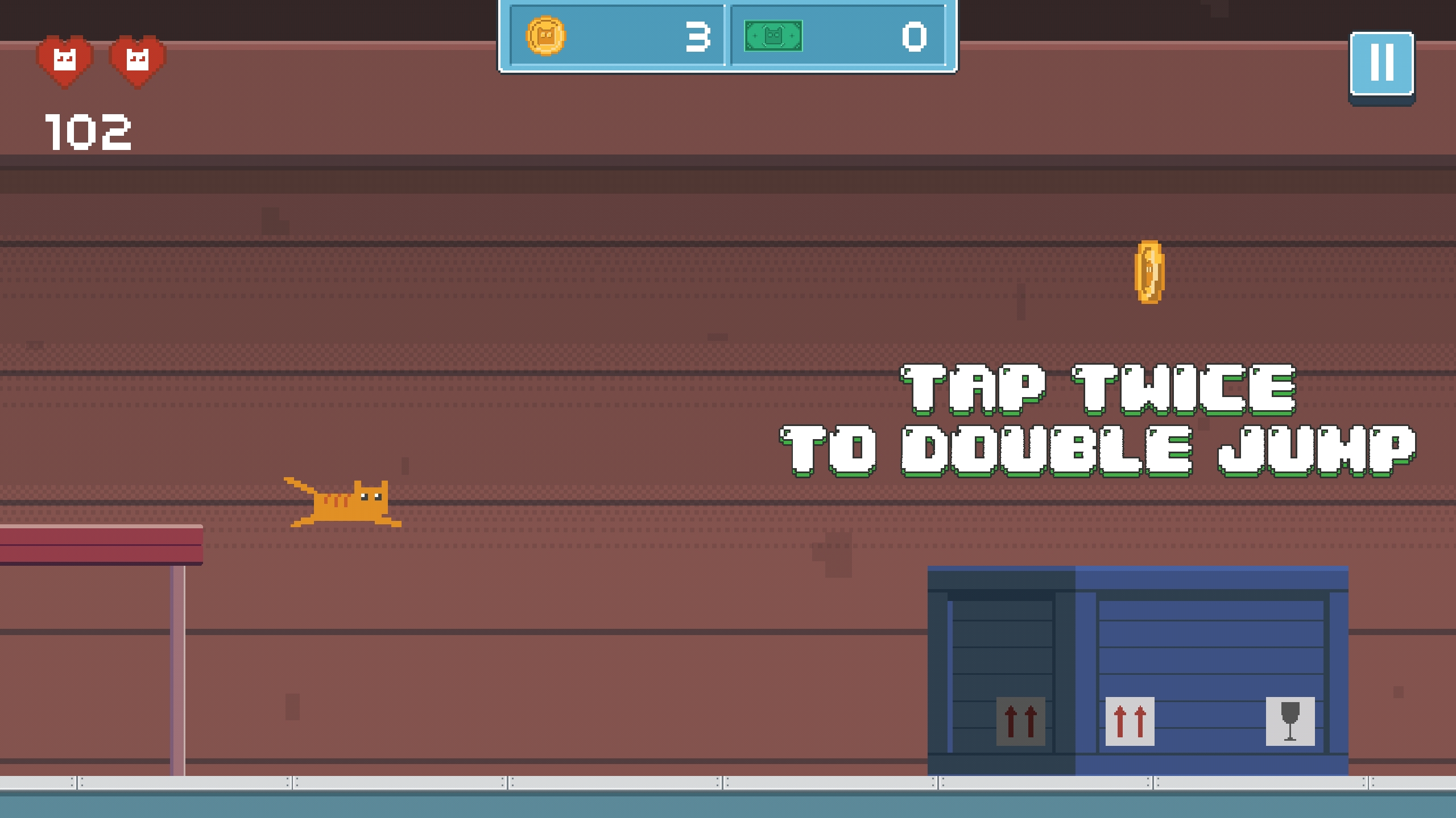 Infinite Meow – Elwin Lee